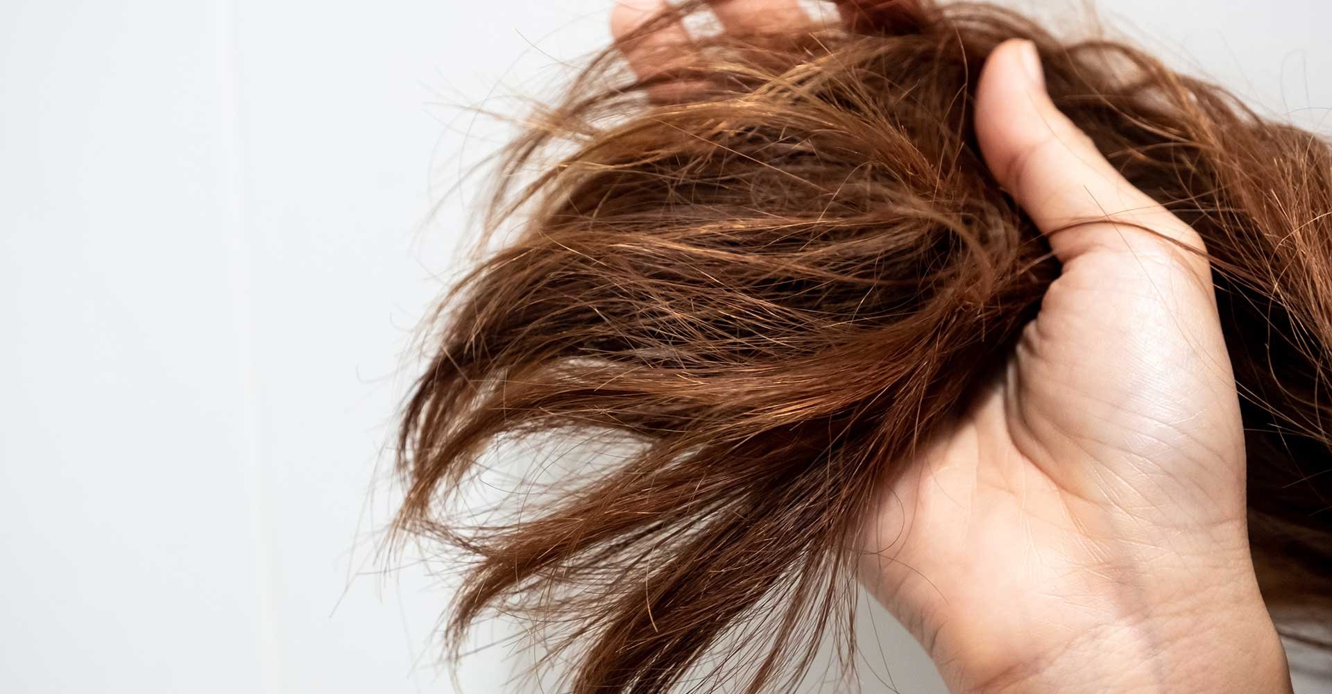 Cabelo ressecado? Conheça 5 hábitos que podem ressecar os fios | L ...